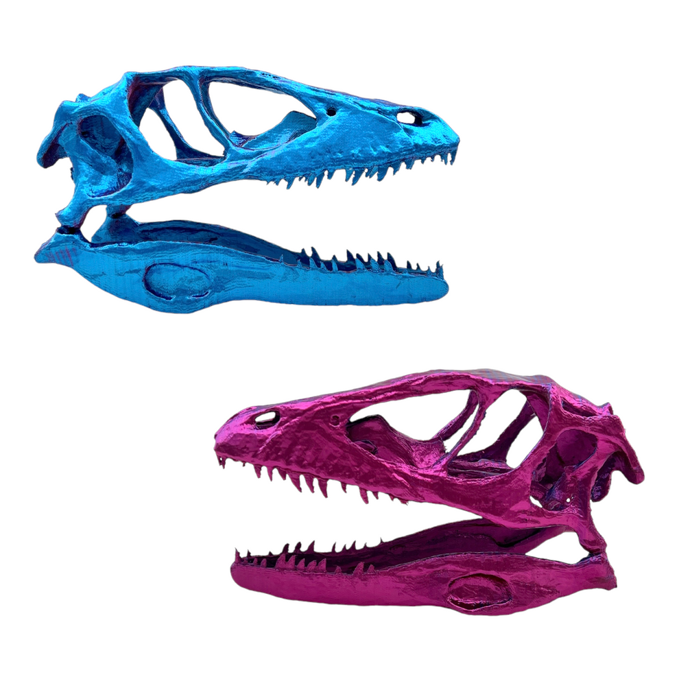 Vibrant 3D Printed Raptor Skull – Tyrannostorus