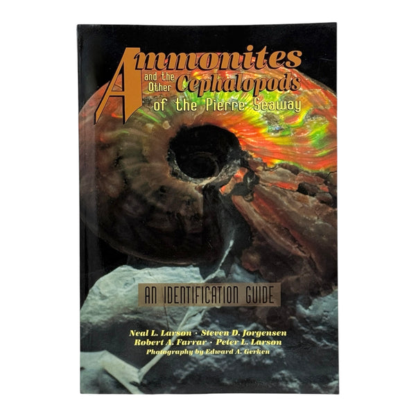Ammonites & Cephalopods of the Pierre Seaway: Identification Guide ...