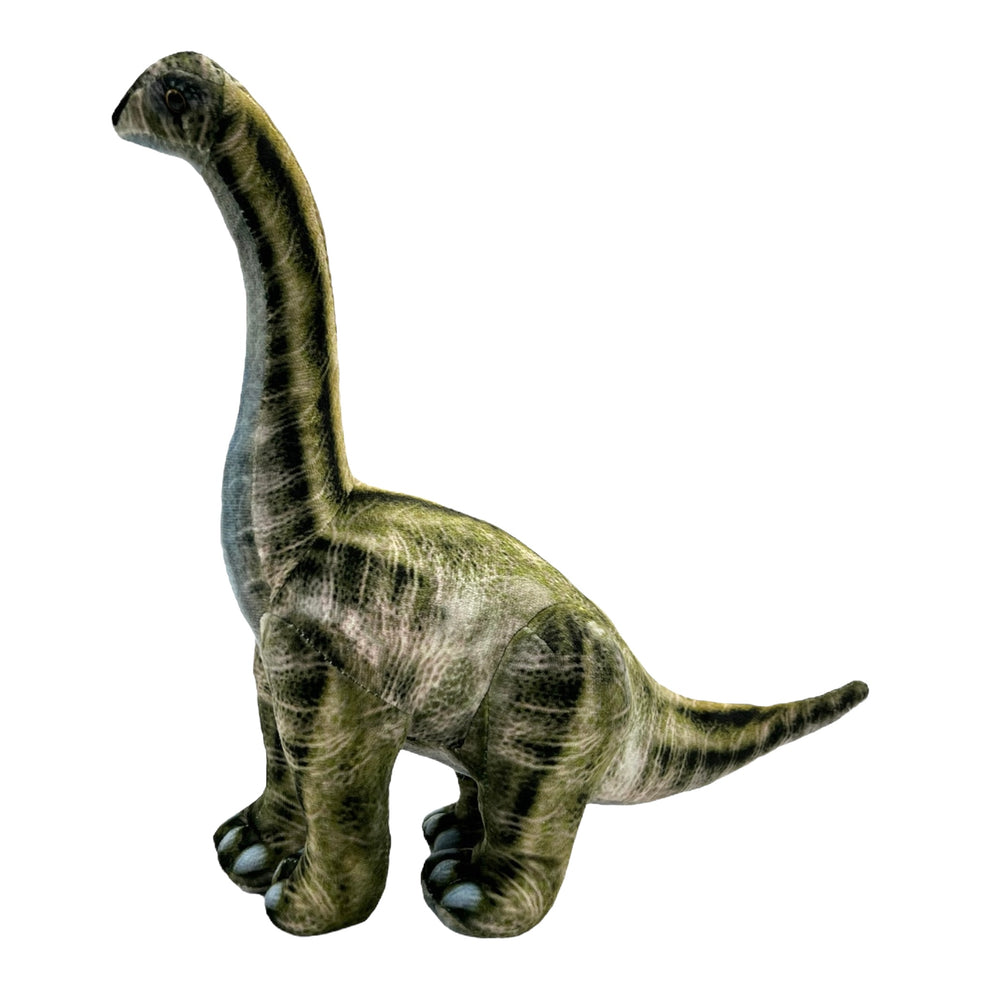 Brontosaurus Plush Dinosaur - 11.5" Tall – Tyrannostorus