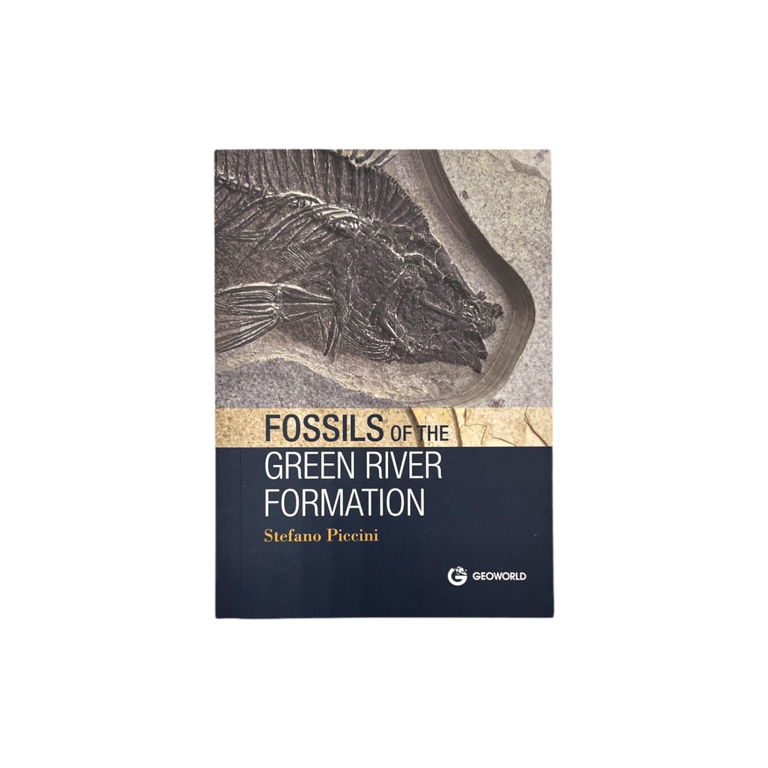 Fossils of the Green River Formation – Tyrannostorus