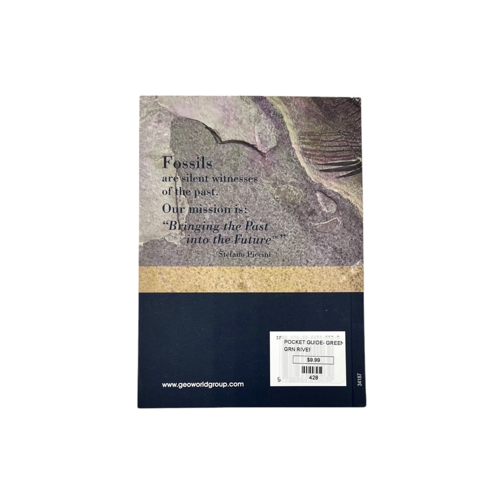 Fossils of the Green River Formation – Tyrannostorus