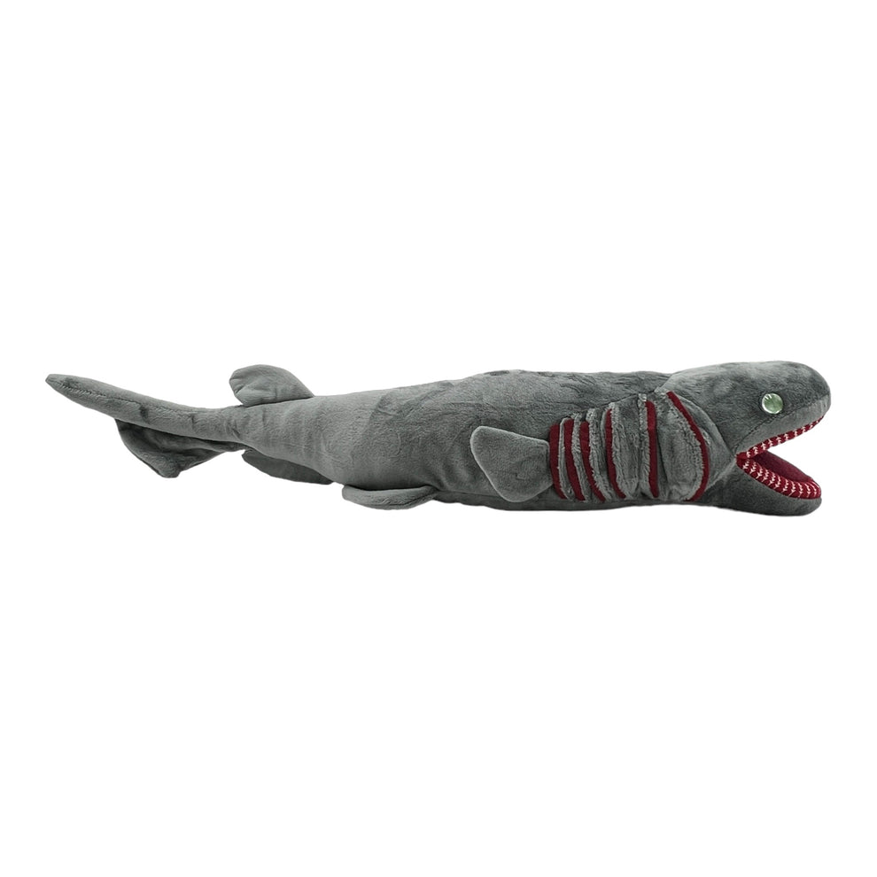 Frilled Shark Plush - Lizard Shark – Tyrannostorus