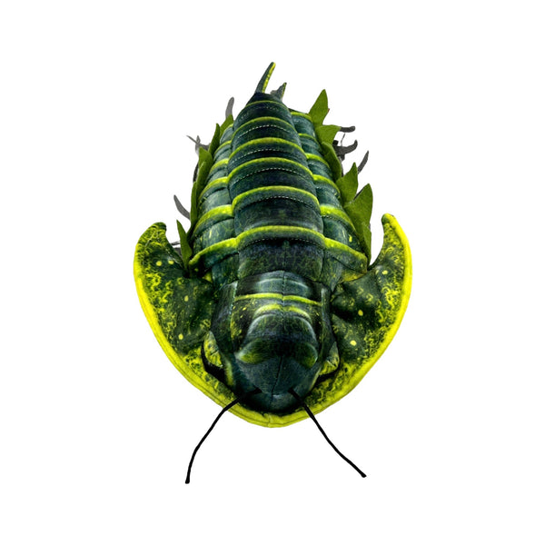 Trilobite Plush - Soft and Cute Prehistoric Companion – Tyrannostorus