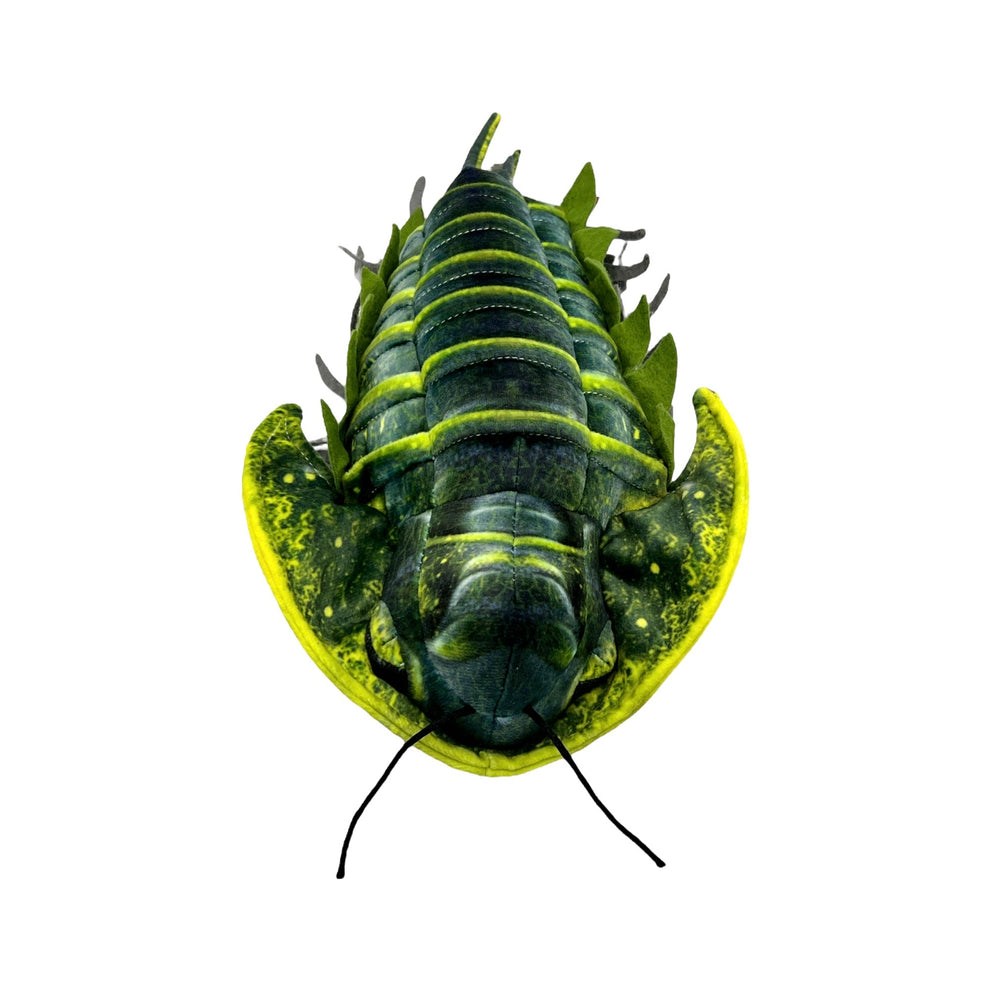 Trilobite Plush - Soft and Cute Prehistoric Companion – Tyrannostorus