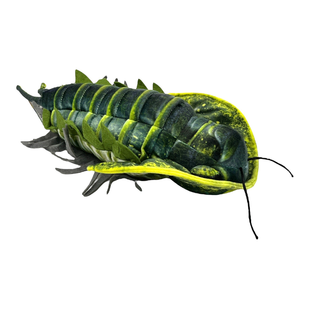 Trilobite Plush - Soft and Cute Prehistoric Companion – Tyrannostorus