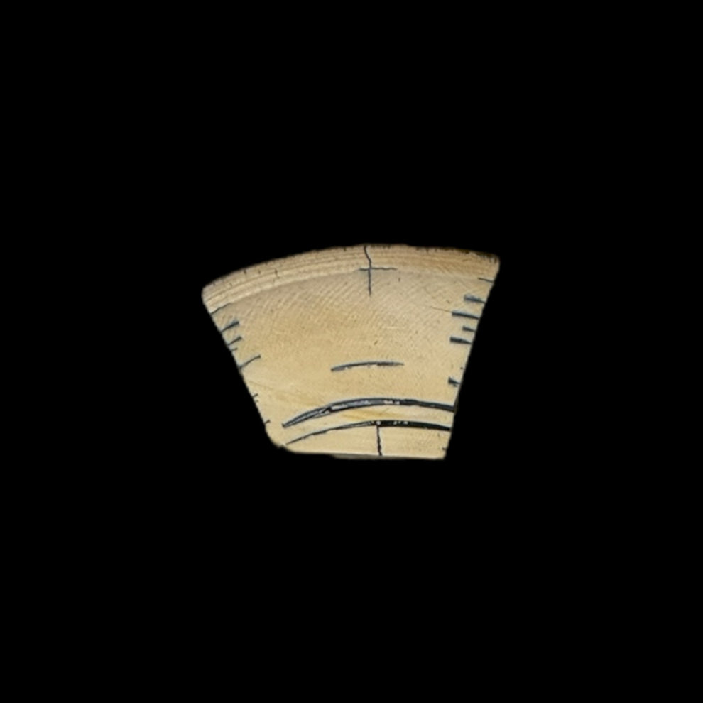 Woolly Mammoth Tusk Display – Tyrannostorus