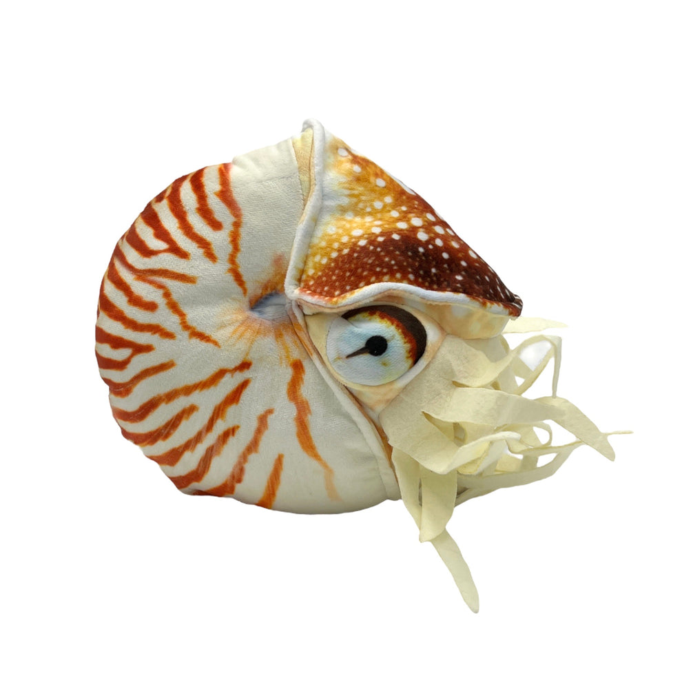 Nautilus Plush – Tyrannostorus