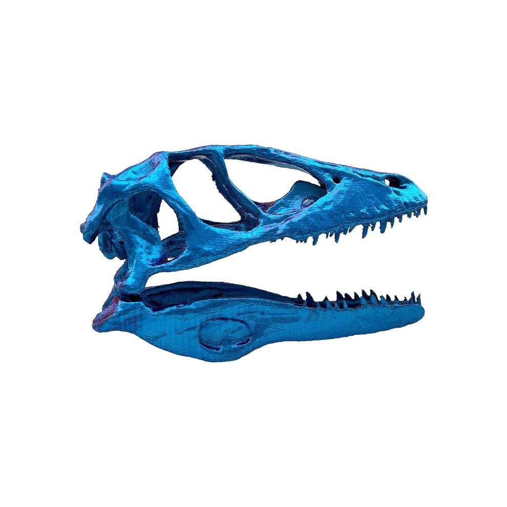 Vibrant 3D Printed Raptor Skull – Tyrannostorus