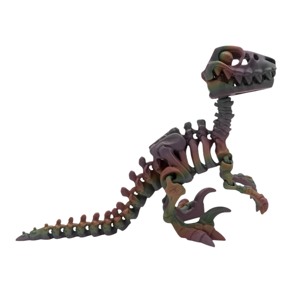 Unleash Speed and Power with Our 3D Printed Raptor Skeleton ...