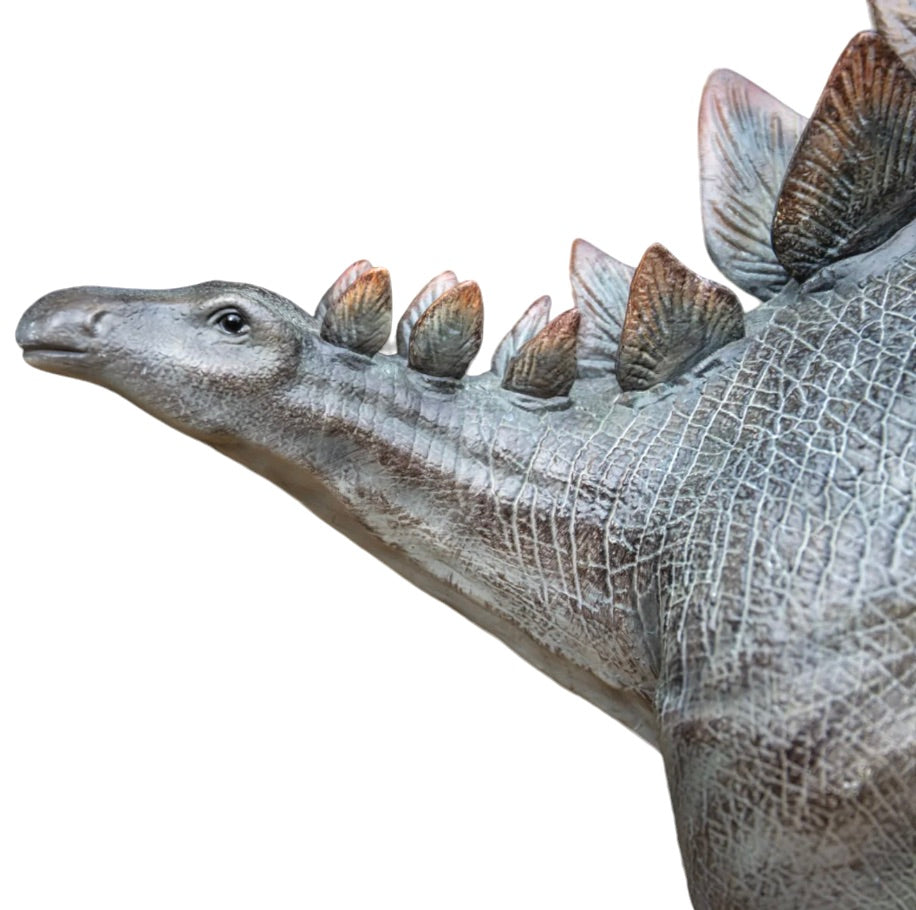 Stegosaurus Model – Tyrannostorus