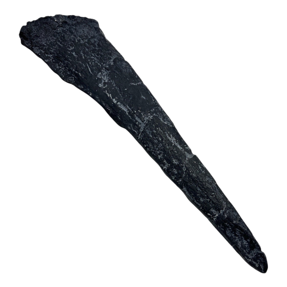 Tail Spike Replica (Stegosaurus) – Tyrannostorus