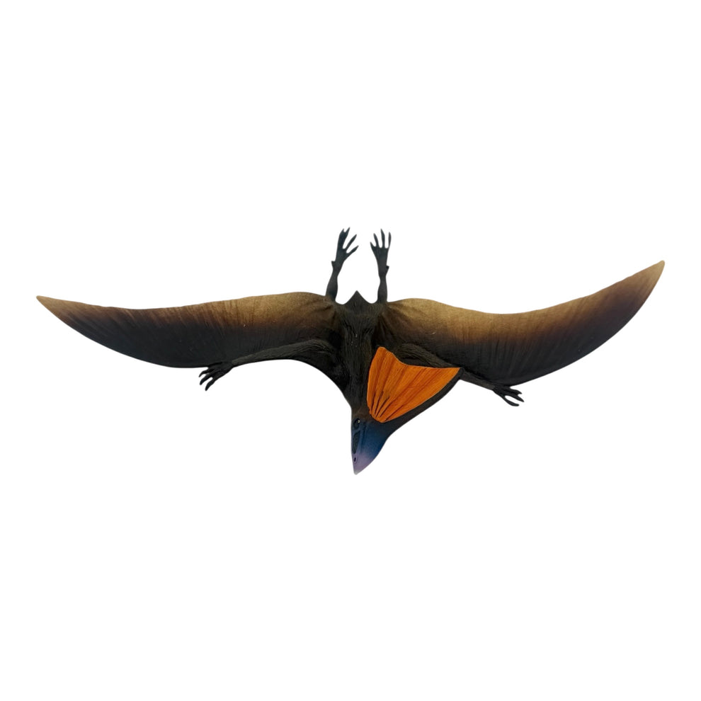 Tapejara Toy Model – Crested Pterosaur of Brazil – Tyrannostorus