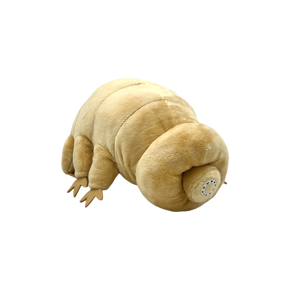 Tardigrade (Water Bear) Plush – Tyrannostorus