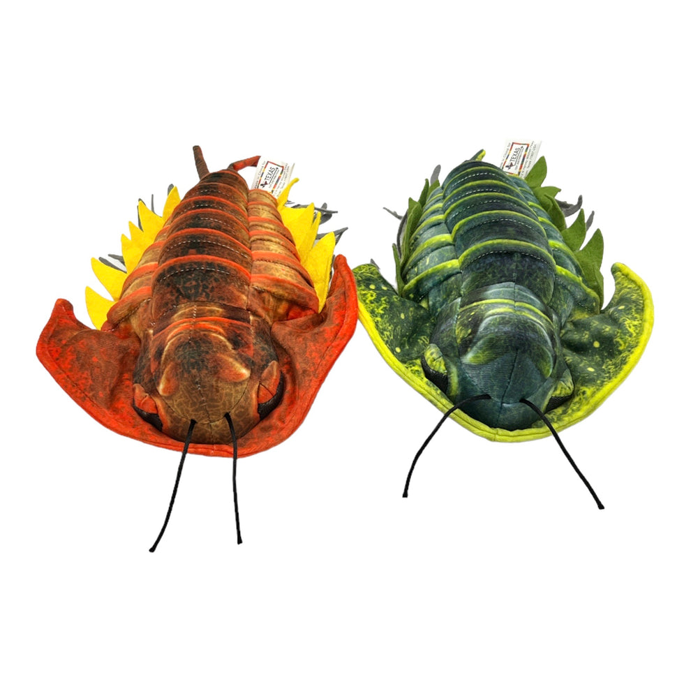 Trilobite Plush - Soft and Cute Prehistoric Companion – Tyrannostorus