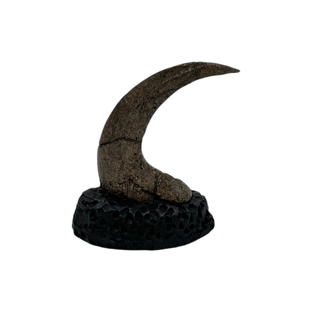 Explore Fossil Replicas of Dinosaurs & Extinct Creatures – Tyrannostorus